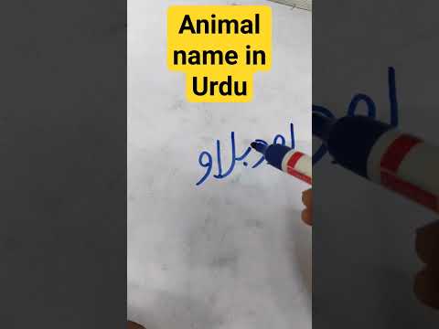 Oodbilaw name in urdu Urdu men janwaron ke naam urdu likhna seekhen #urduanimalsnames #urduwriting