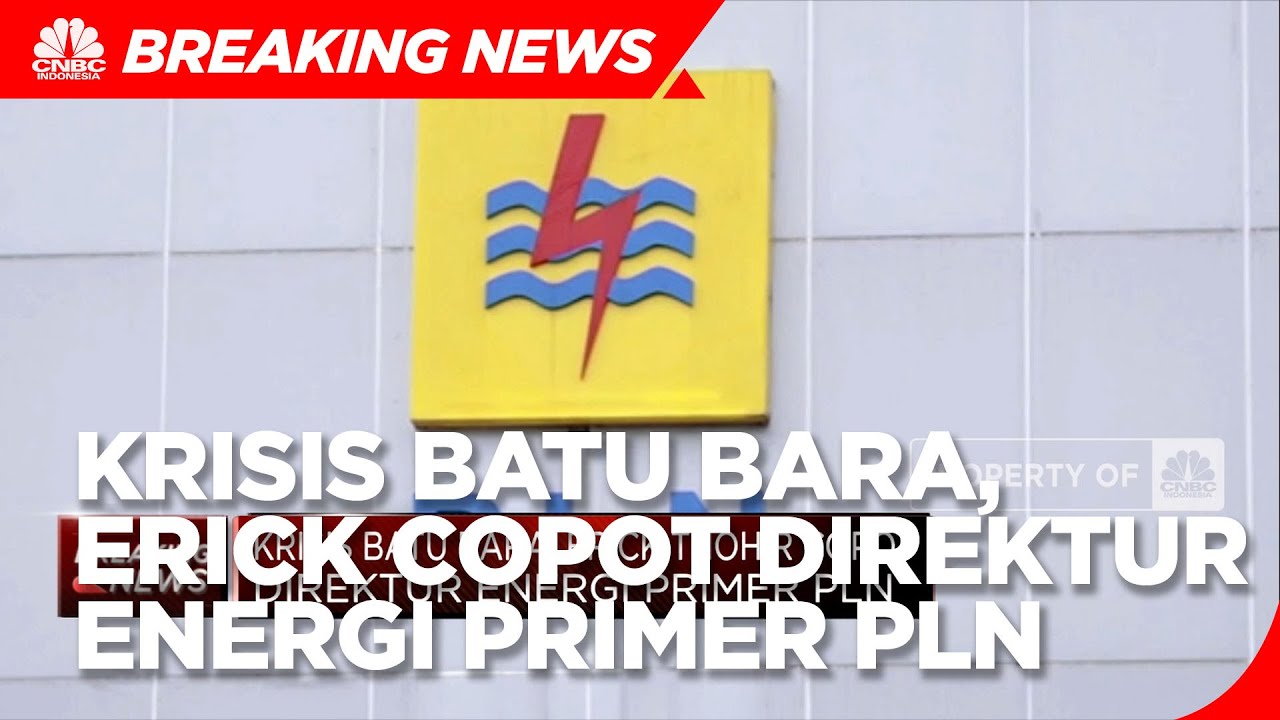 Krisis Batu Bara, Erick Thohir Copot Direktur Energi Primer PLN