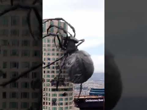Monster Spider ! Mega Spider????️????️????️????️????️????️????️????️????️????️ Big Ass Spider Hollywood #shorts