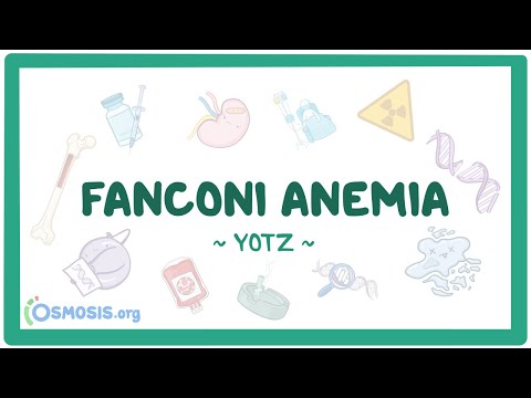 Fanconi anemia (Year of the Zebra 2025)