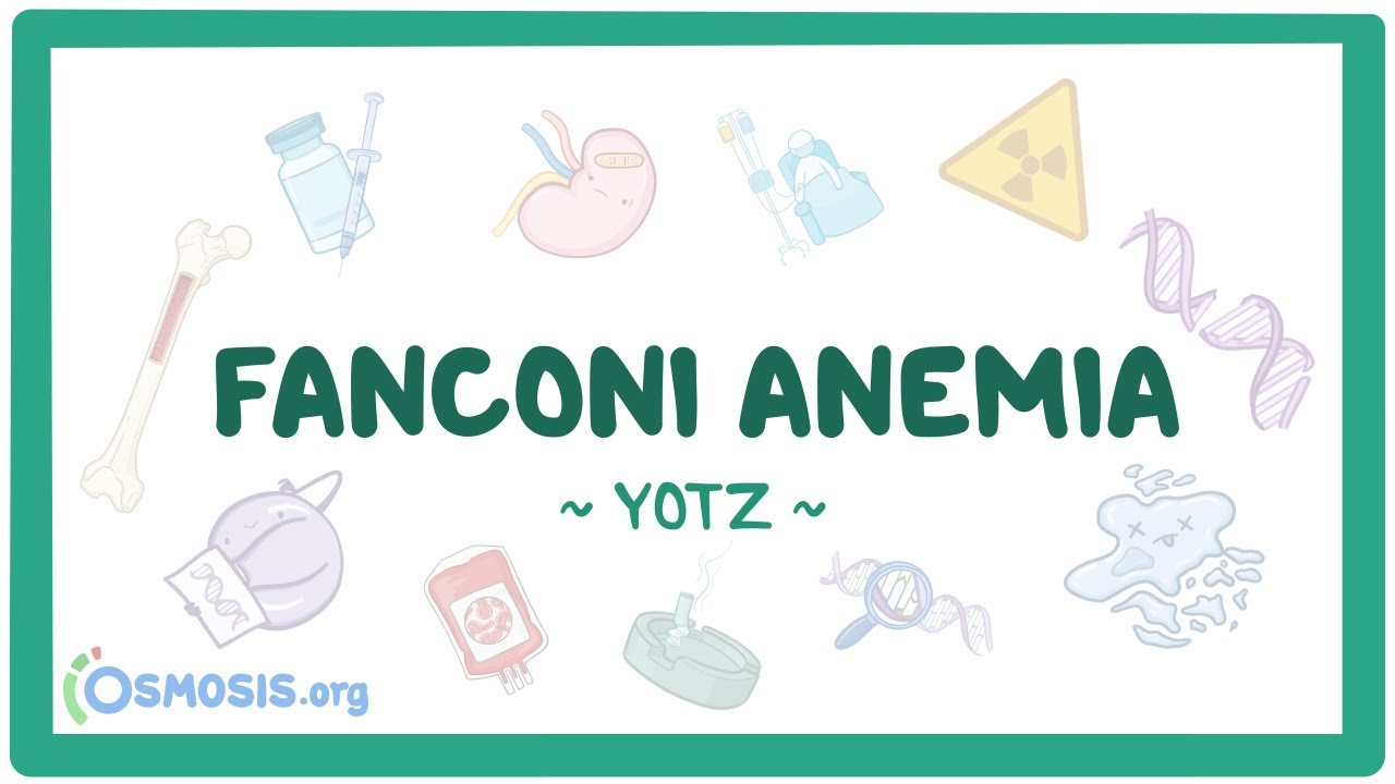 Fanconi anemia (Year of the Zebra 2025)