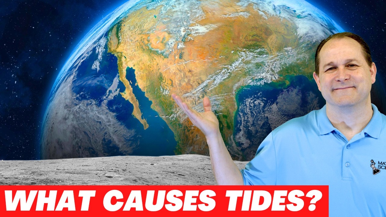 How Tides Work: The Moon's Role EXPLAINED