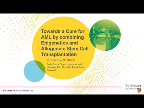 Towards a Cure for Acute Myeloid Leukemia by combining Epigenetics and Stem Cell Transplantation