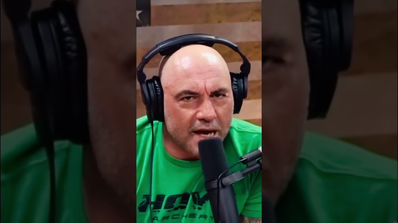Joe Rogan describes his ego death experience