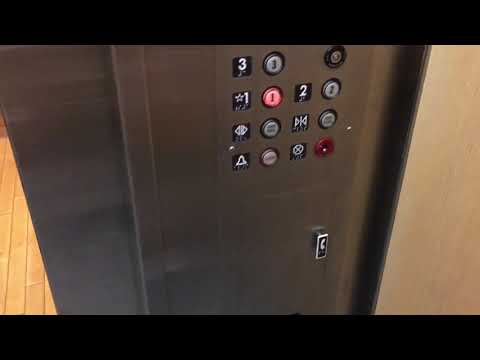 A Retake of a Montgomery Elevator at Bloomingdales in Sherman Oaks, CA