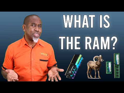 What Is the RAM?