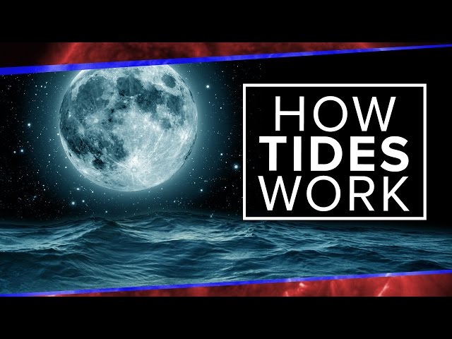 Understanding Tides: Debunking Common Misconceptions | Galaxy.ai