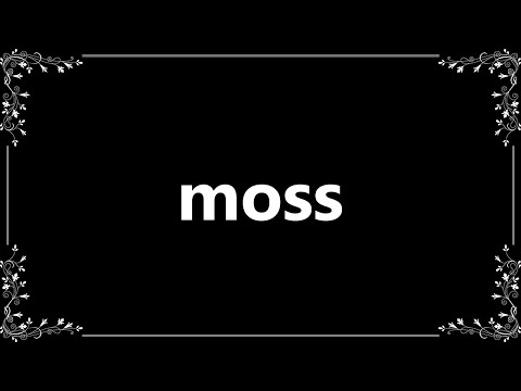 Moss - Definition and How To Pronounce