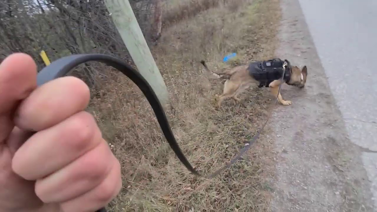 Man Tracking - Some of our process