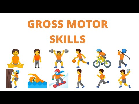What are Gross motor skills?