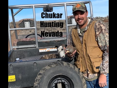 Upland Game Bird Hunting (Chukar Hunting)