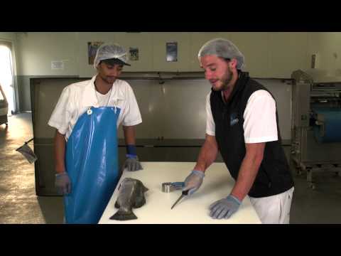 Australian Seafood All Access Chef & Hospitality Tutorial - Barramundi & Snapper