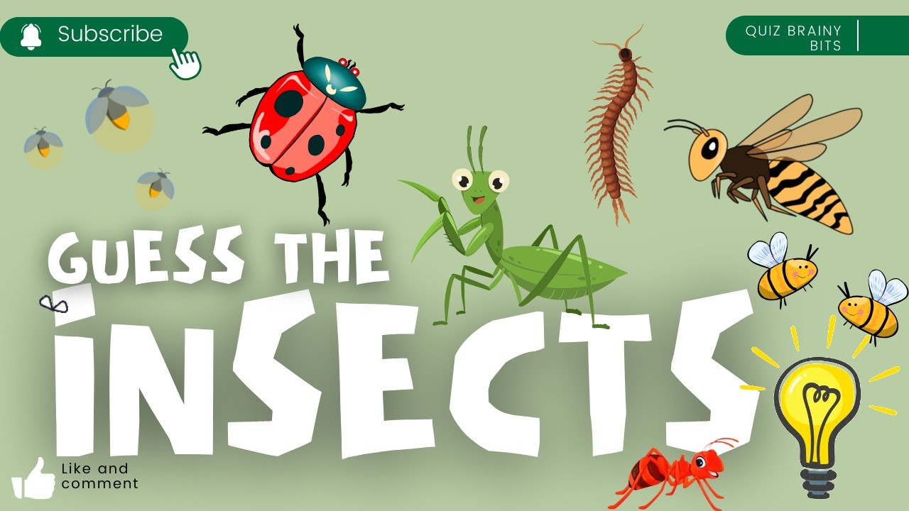 Insect Identification Quiz: Can You Name These Creepy Crawlers? #quiz #guesswhat #insects #guess