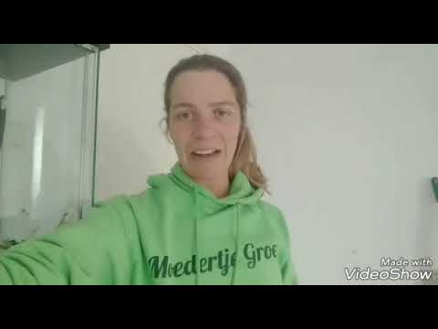 Video: over de Zeemuis – Moedertje Groen