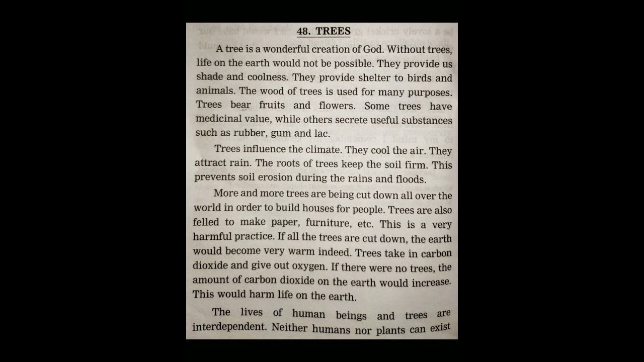 Essay On Trees | English Writing Skills | Let's Learn Grammar