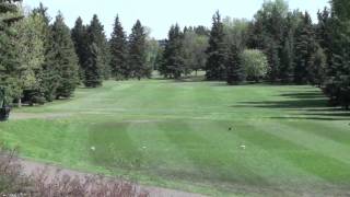 3 Best Golf Courses in Edmonton, AB - Expert Recommendations