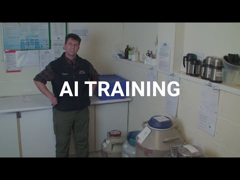 AI Training