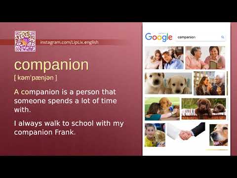 Companion : B2 level english vocabulary lesson, www.LipLix.com