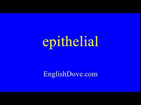 How to pronounce epithelial in American English.