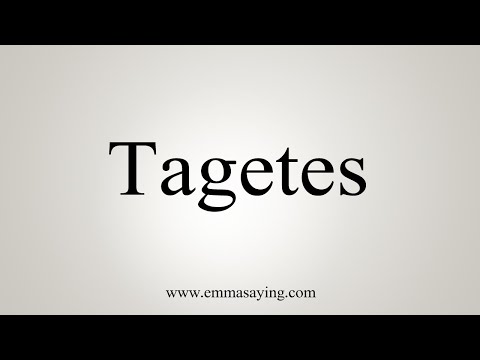 How To Say Tagetes