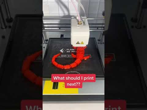 3D Printed Lizard Time Lapse