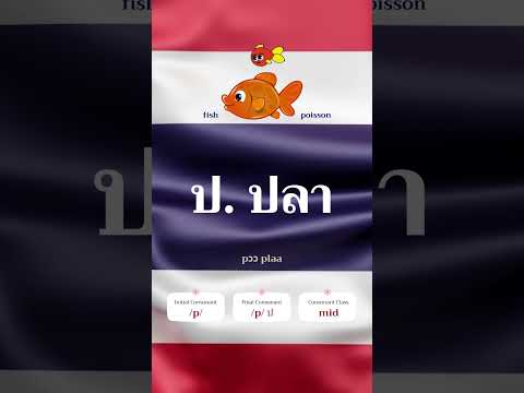 44 Thai Consonants พยัญชนะไทย L' alphabet : Les Connones