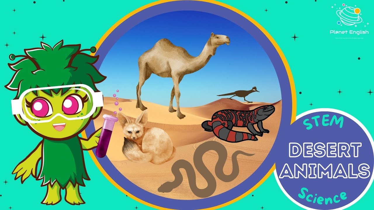 Desert Animals | KS1 Science | STEM and Beyond