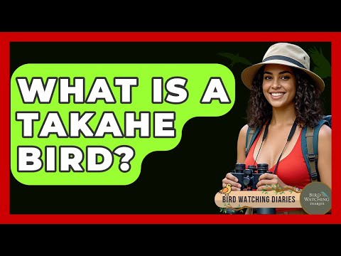 What Is A Takahe Bird? - Bird Watching Diaries