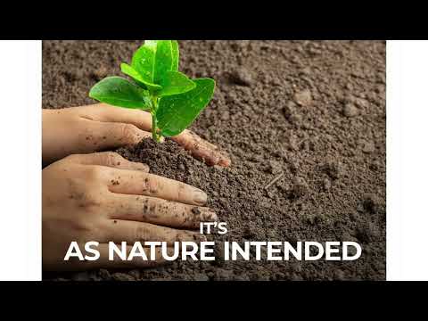 Eat safe with Certified Non-GMO from Pluckk
