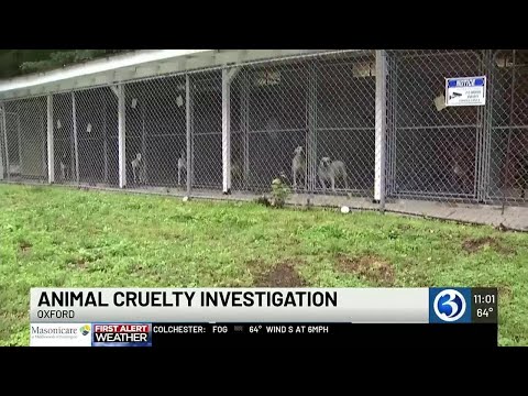 Animal cruelty investigation underway in Oxford