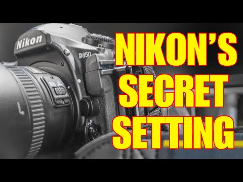 Nikon D850: Secret focus feature (1585)