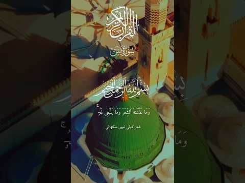 Quran Urdu Translation #shortsfeed #youtubeshorts #shortsvideo #islamicscripture