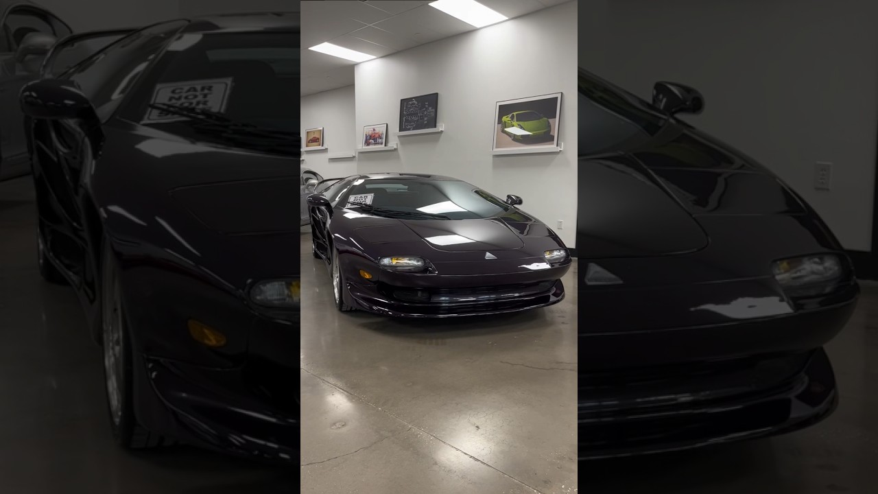 The only Vector M12 in Purple! #shorts