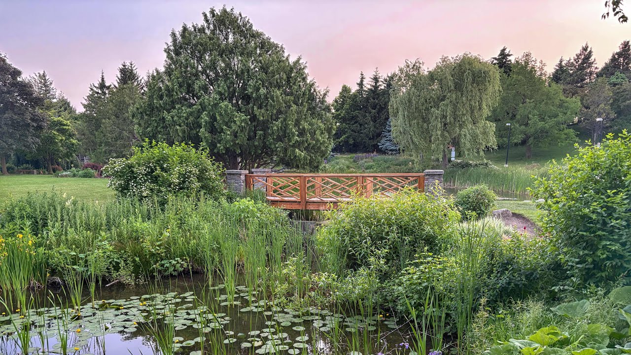 Discover Nature in the City at Humber Arboretum