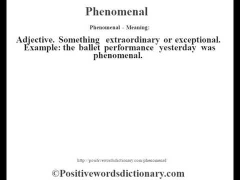Phenomenal definition | Phenomenal meaning