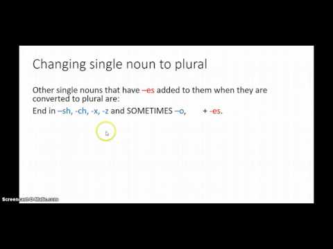 Spelling rules for plural nouns ending in -s or -es