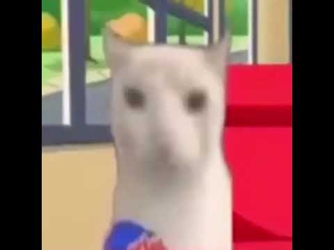 cat eating chips meme tiktok