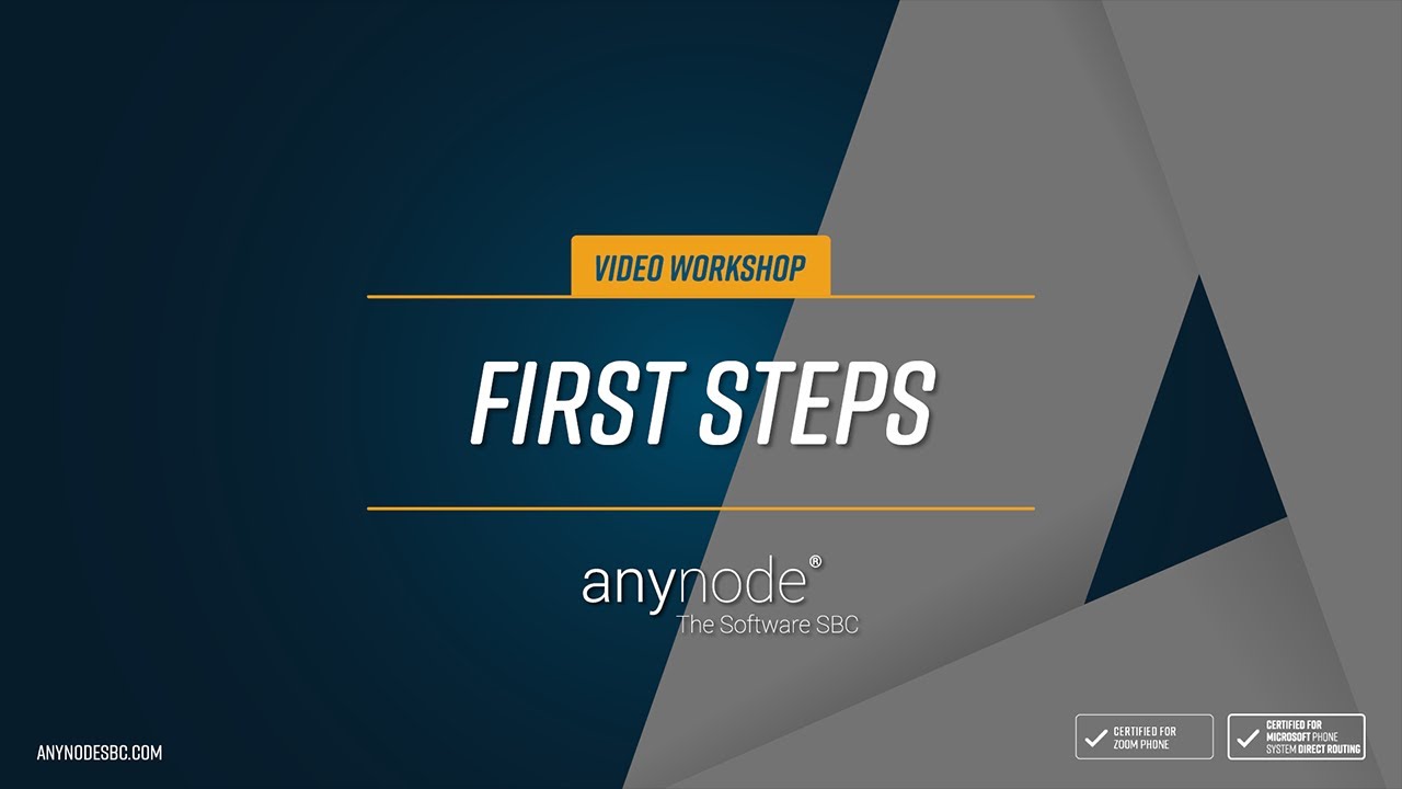 anynode 01 - First Steps
