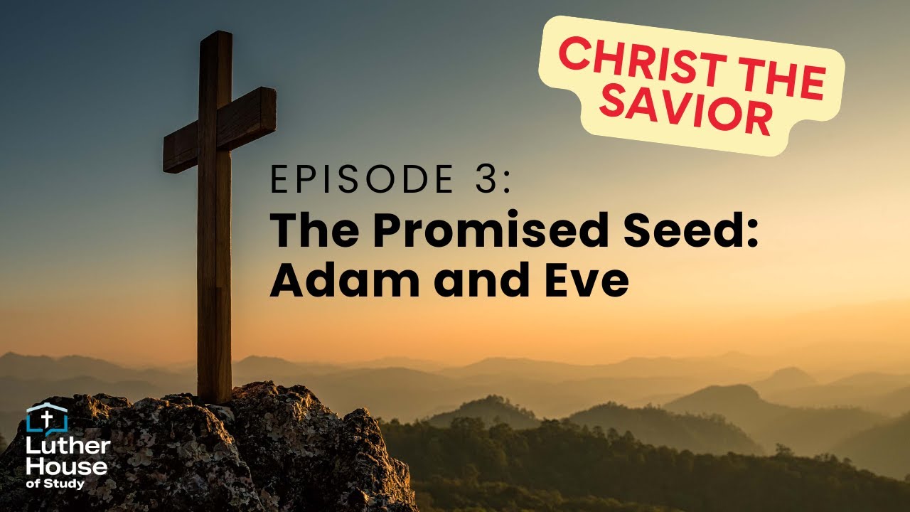 Christ the Savior (Christology)