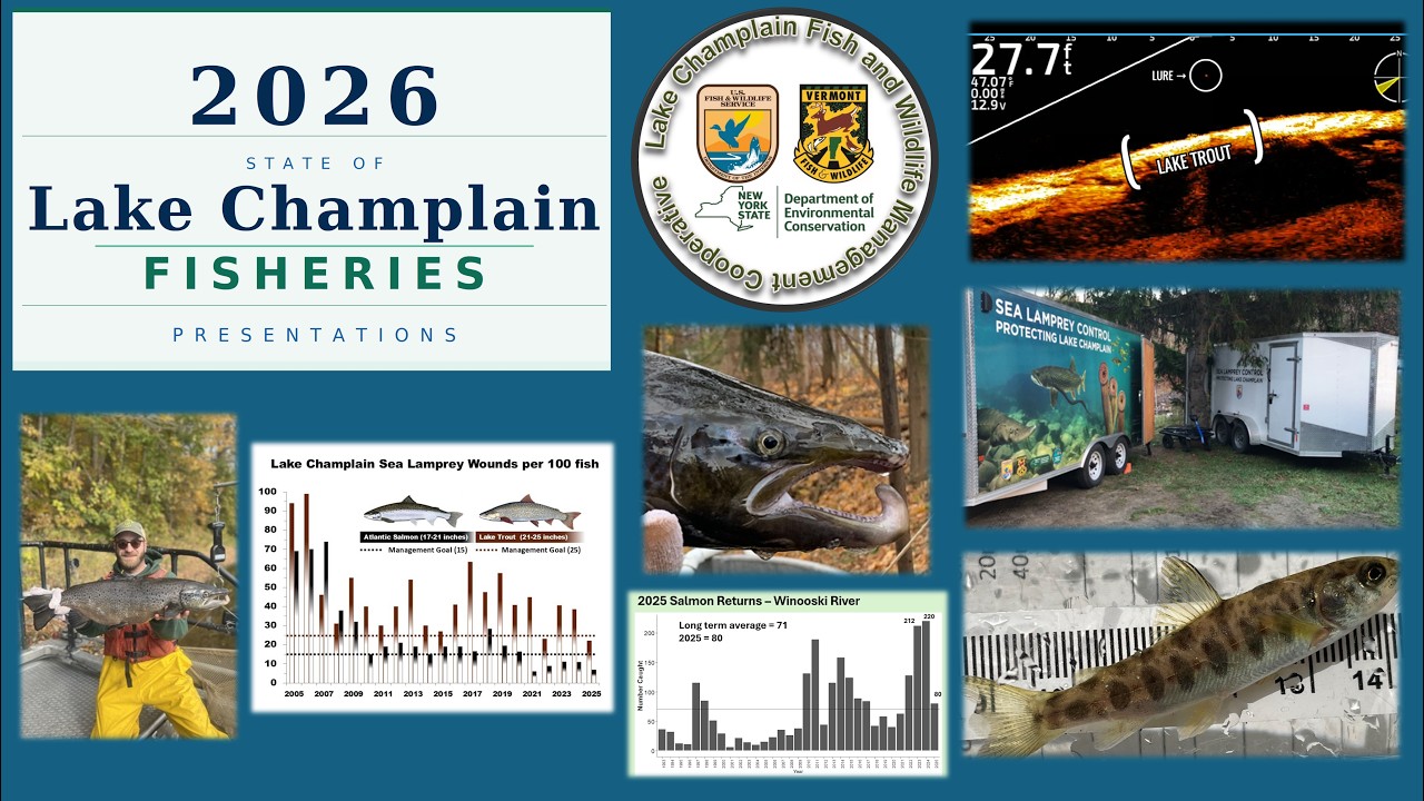 2026 State of Lake Champlain Fisheries Presentations