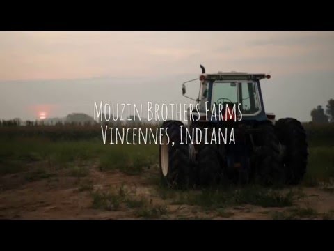 Locally Grown - Mouzin Brothers Farms, Vincennes, IN