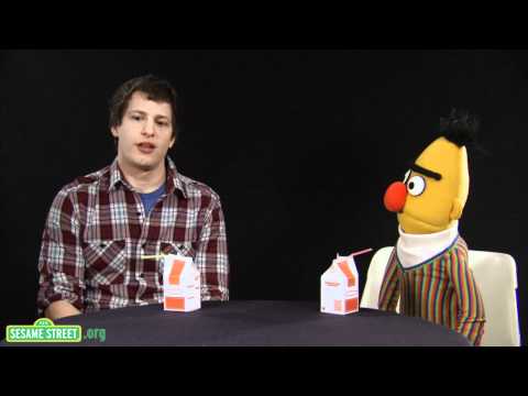 Sesame Street Saturdays: Conversations with Bert | The Muppet Mindset