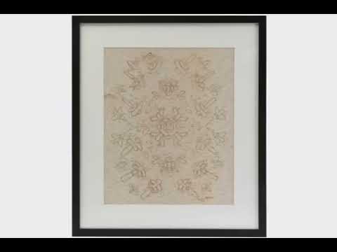 Birch Bark Biting by Sally Milne