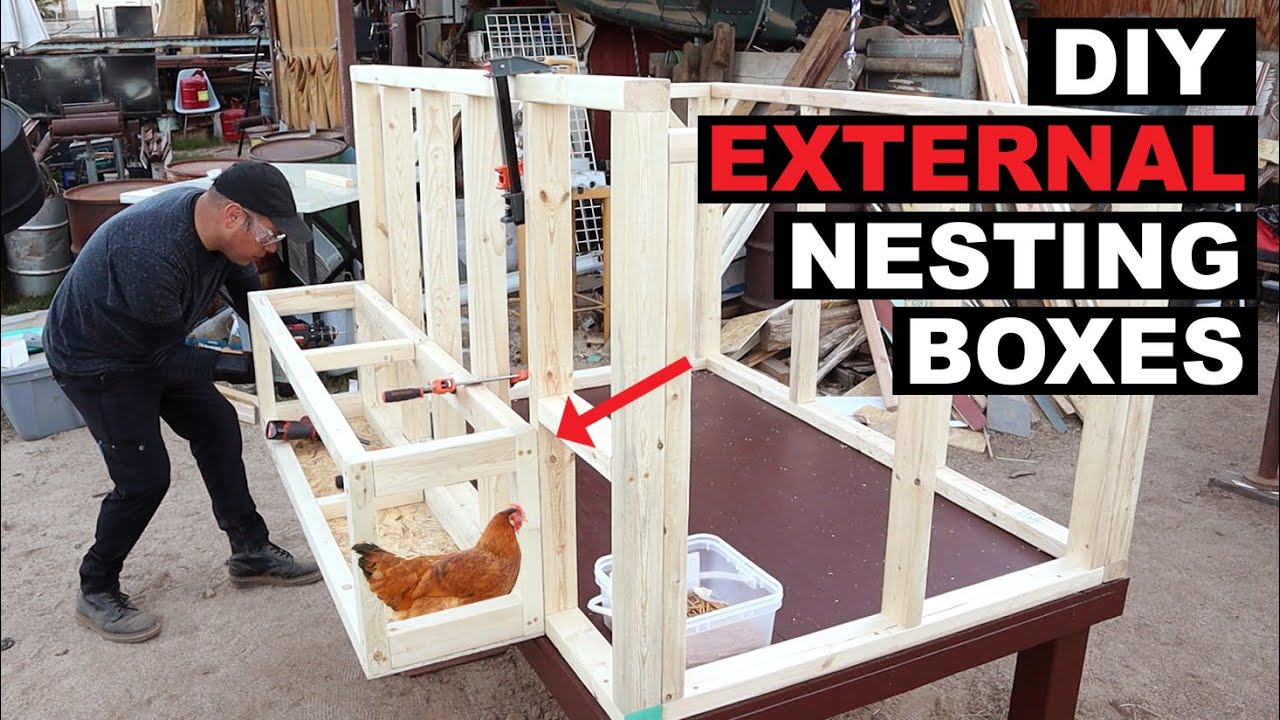 DIY External Nesting Boxes for Chickens - How to Attach to a Chicken Coop