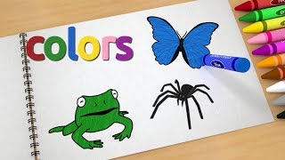 Learn colors with drawings of fruits and animals – iEducation