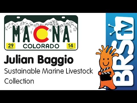 Sustainable Wild Collection of Australian Fish and Corals by Julian Baggio | MACNA 2014