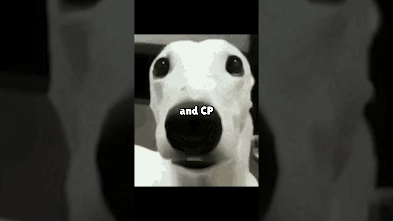 Guess the GD pdf 1!