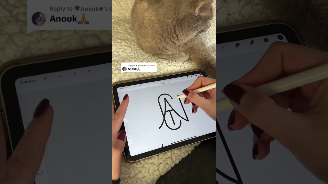 Anouk | Procreate Logo Design #designprocess #adobeillustrator #procreate