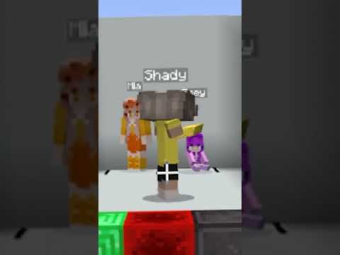 Minecraft Color Match! 2