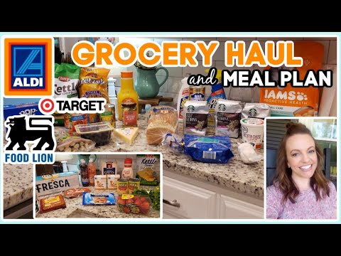 ALDI GROCERY HAUL | FOOD LION GROCERY HAUL | WEEKLY MEAL PLAN | TARGET DRIVE UP HAUL